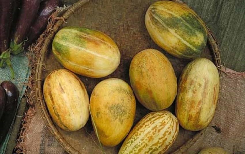 28 Different Varieties of Melons with Their Nutritional Value - Richmond Mom