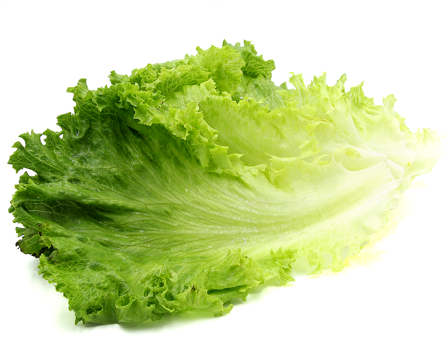 27 Popular Types of Lettuce to Try This Season - Richmond Mom