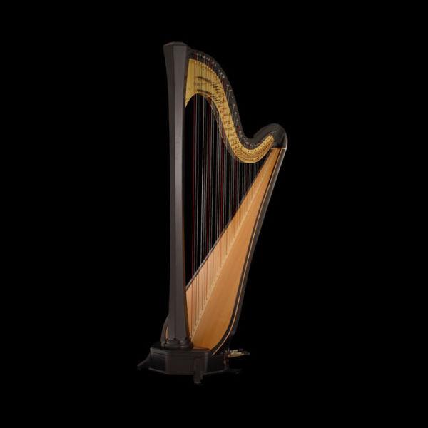 65 Popular Musical Instruments Around the World - Richmond Mom