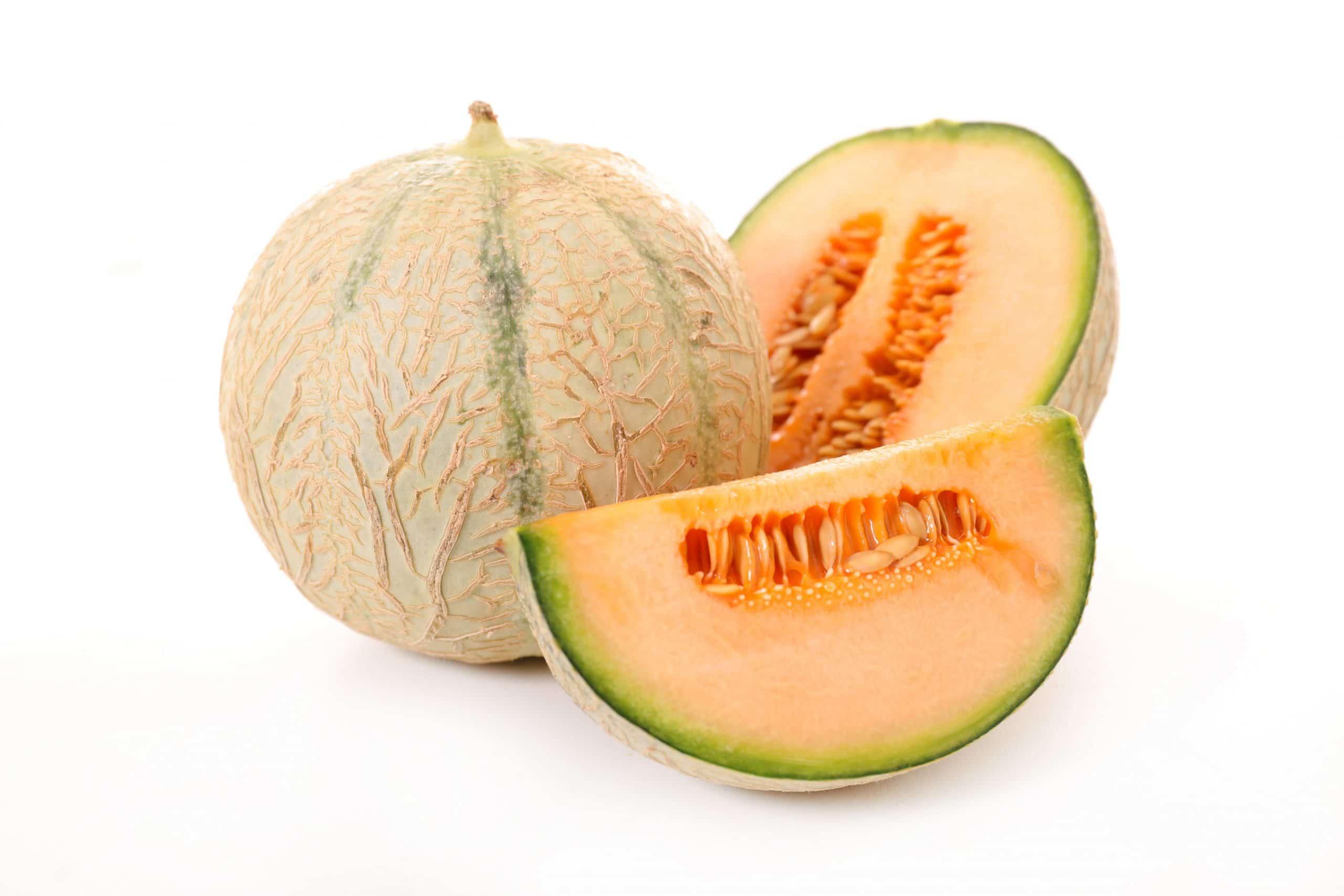 28 Different Varieties of Melons with Their Nutritional Value ...
