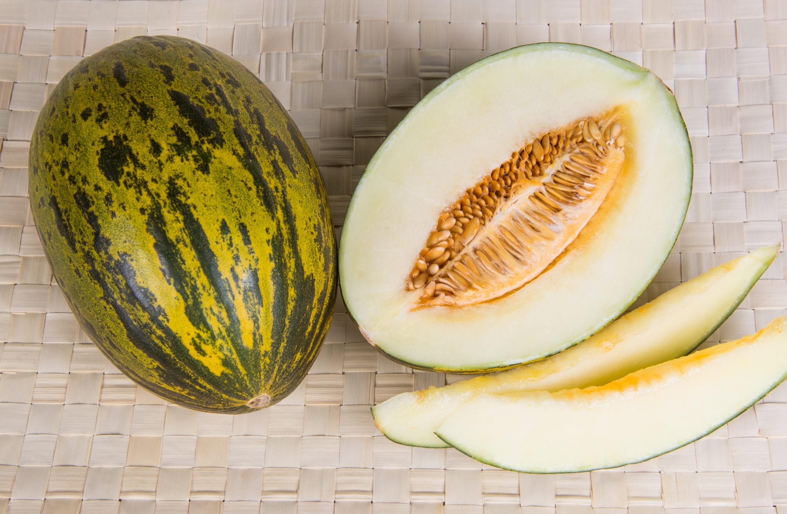 28 Different Varieties of Melons with Their Nutritional Value ...