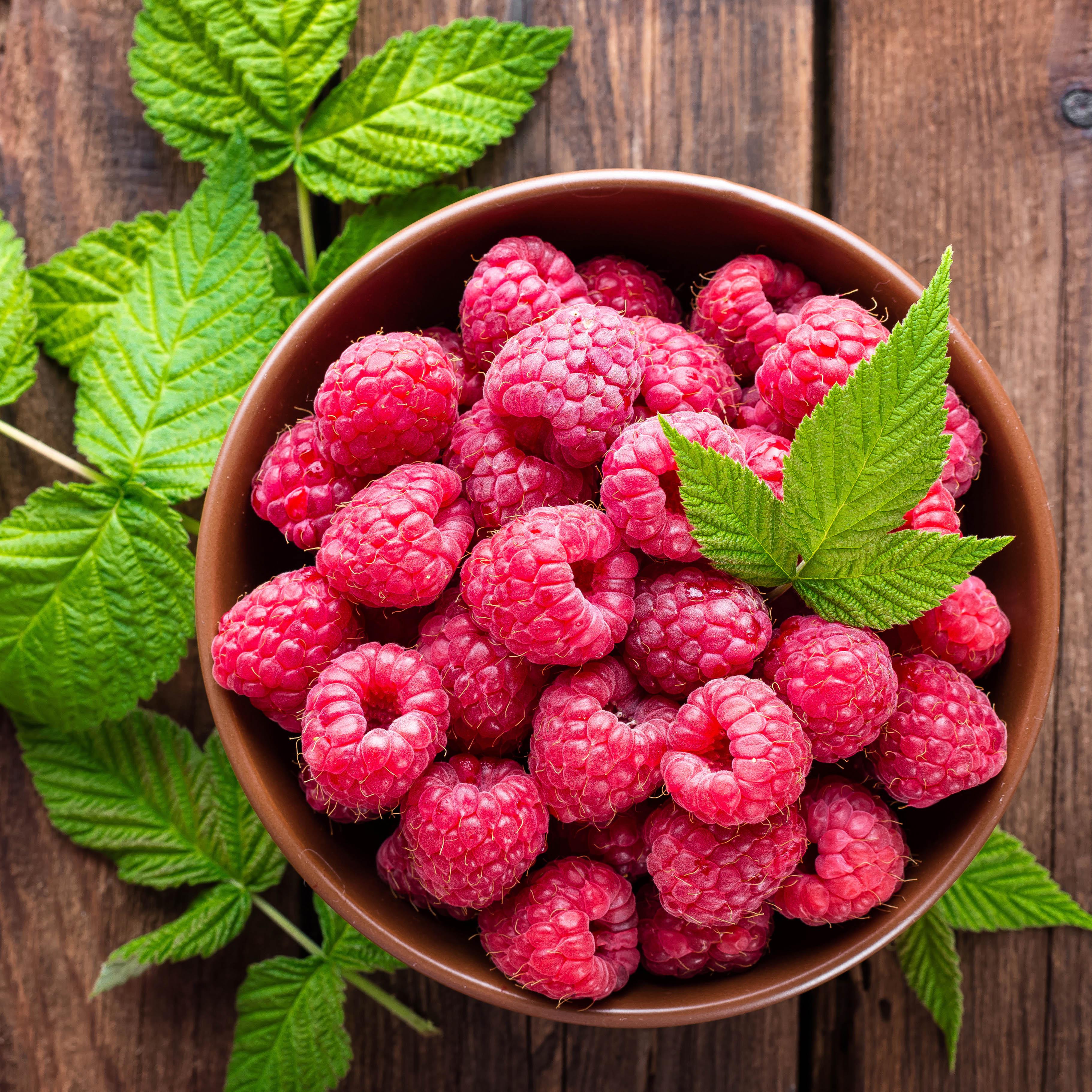 55 Popular Types of Berries You Should Know - Richmond Mom