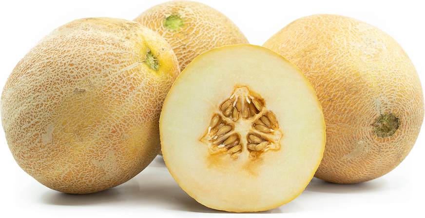 28 Different Varieties of Melons with Their Nutritional Value ...