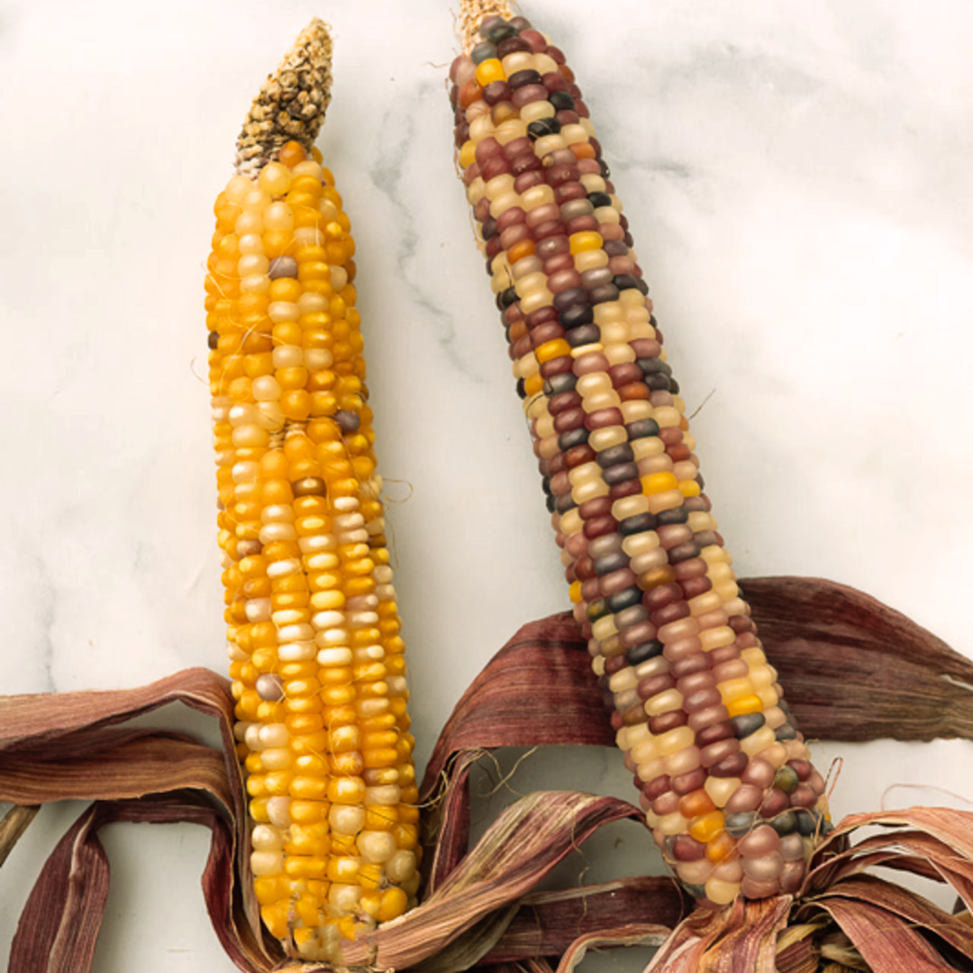 51 Healthiest Vegetables That Start with F - Richmond Mom