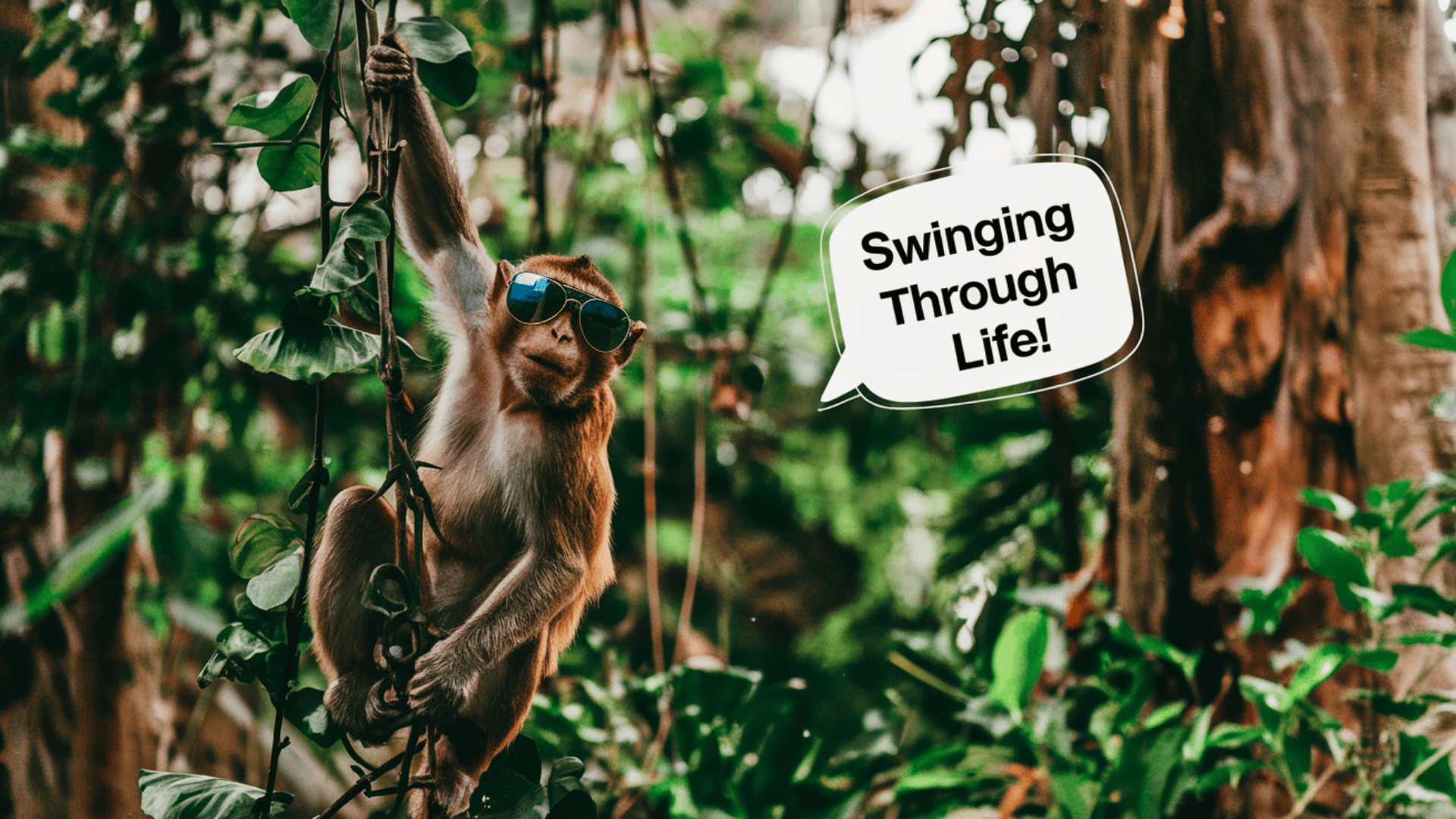 253 Monkey Puns That Will Make You Laugh - Richmond Mom