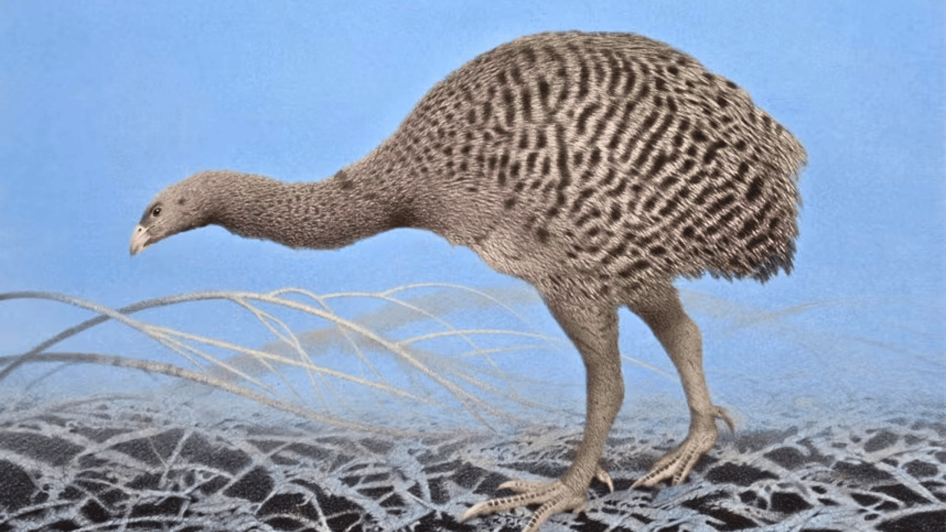 31 Unique Animals That Start With U You Should Know - Richmond Mom