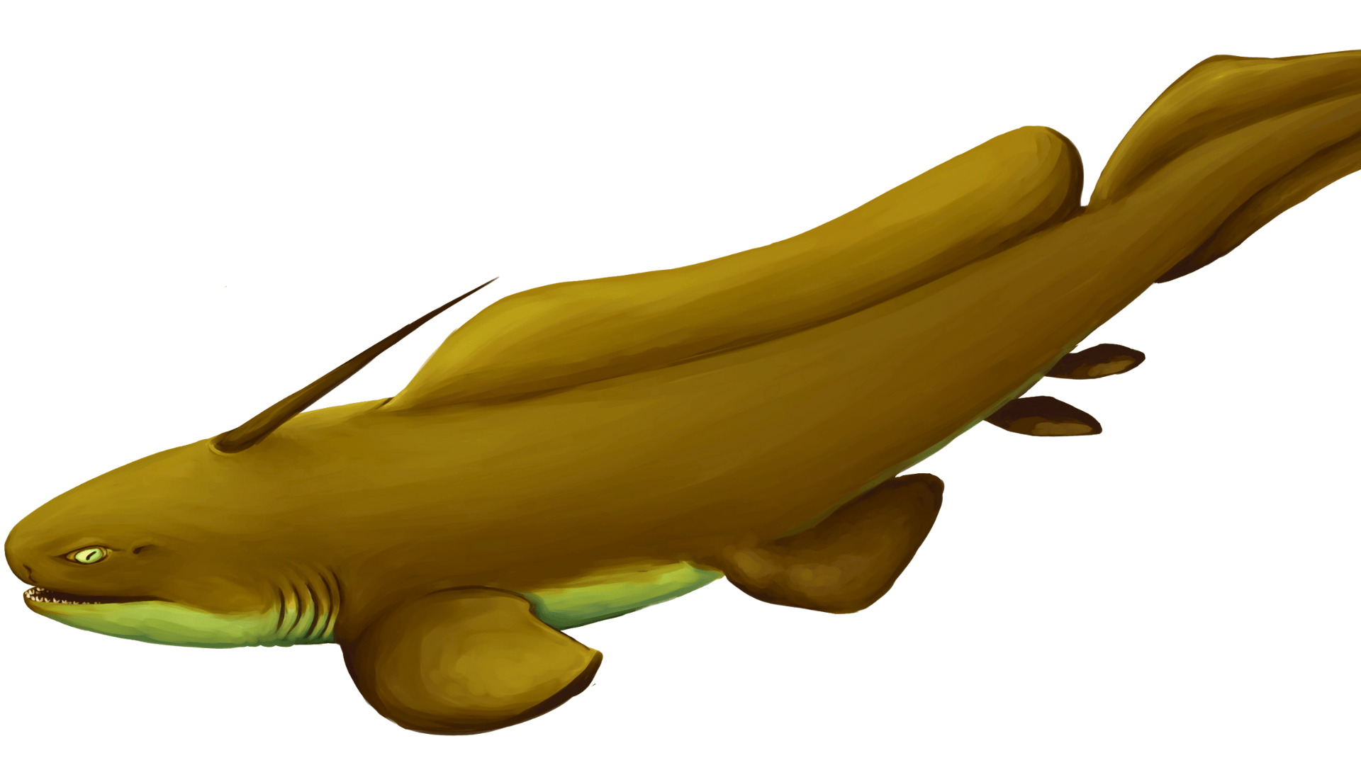 47 Animals That Start With X You Should Know About - Richmond Mom